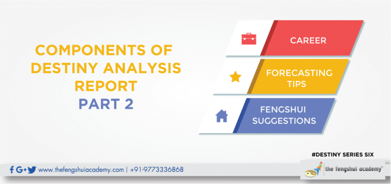 Components of Destiny Analysis Report - Part 2 - The Fengshui Academy
